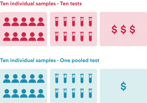 EduSafe by Veritas for pooled testing | Veritas Genetics